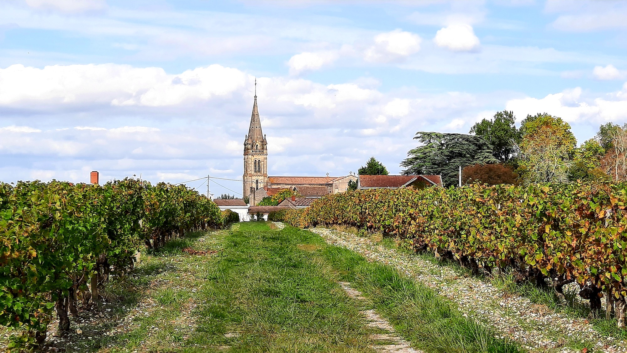 Identité et Histoire - Martillac